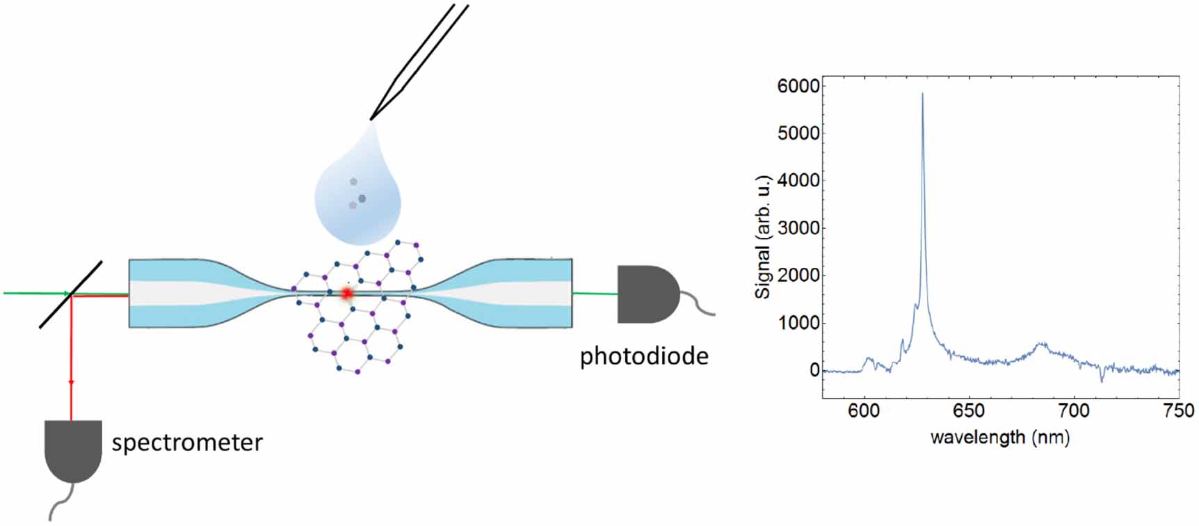 Properties of quantum emitters in different hBN sample types ...