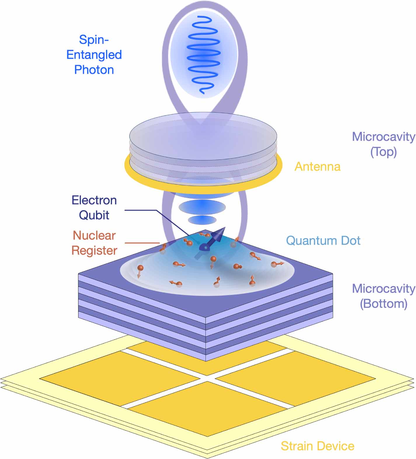 The MEEDGARD project: towards Europe-wide entanglement with quantum-dot nuclear-spin memories ...
