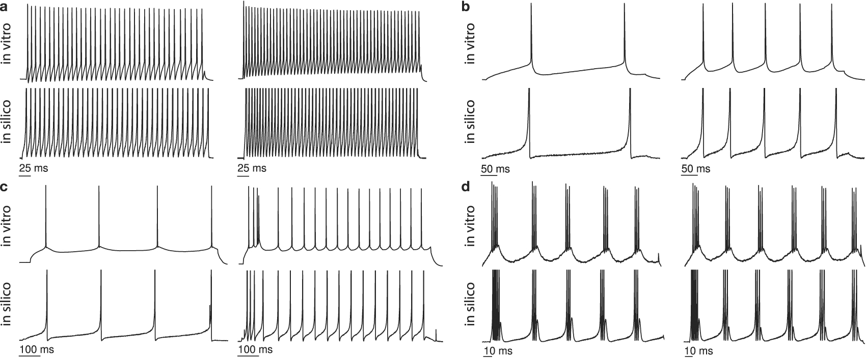 Neurogrid simulates cortical cell-types, active dendrites, and top-down ...