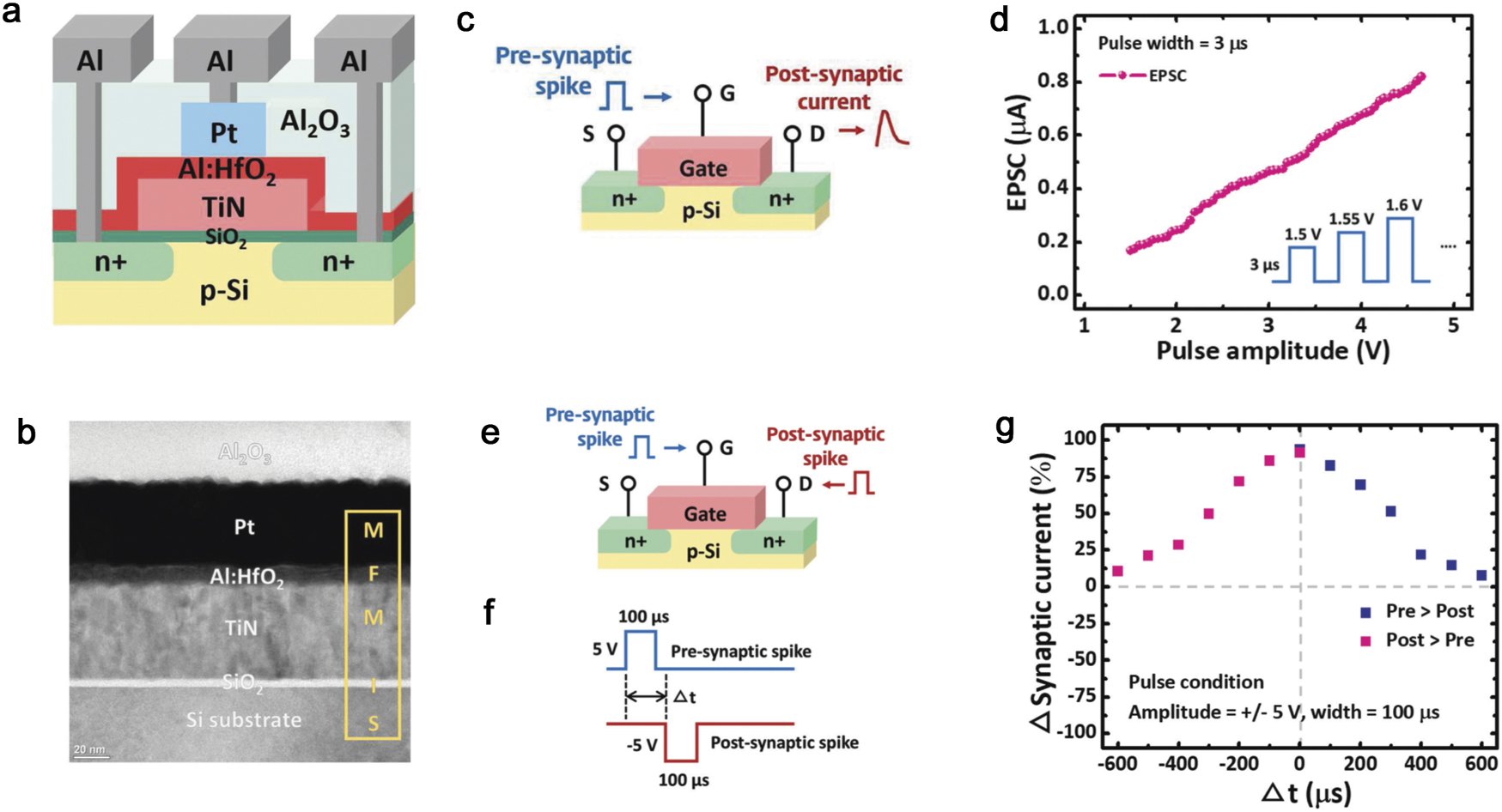 Ferroelectric-based synapses and neurons for neuromorphic computing ...