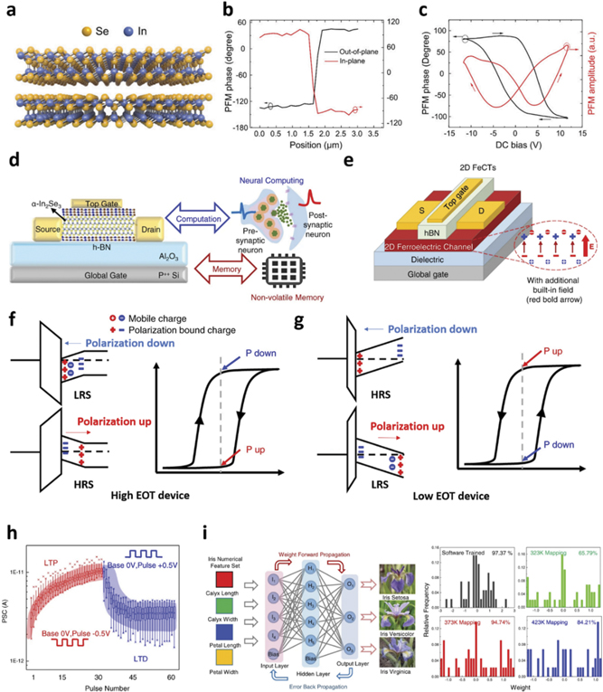Ferroelectric memory based on two-dimensional materials for ...