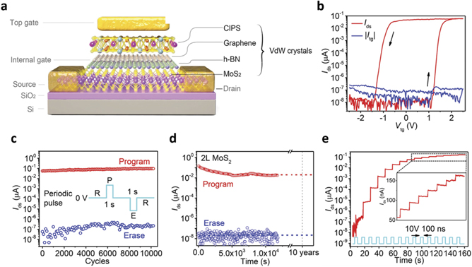 Ferroelectric memory based on two-dimensional materials for ...