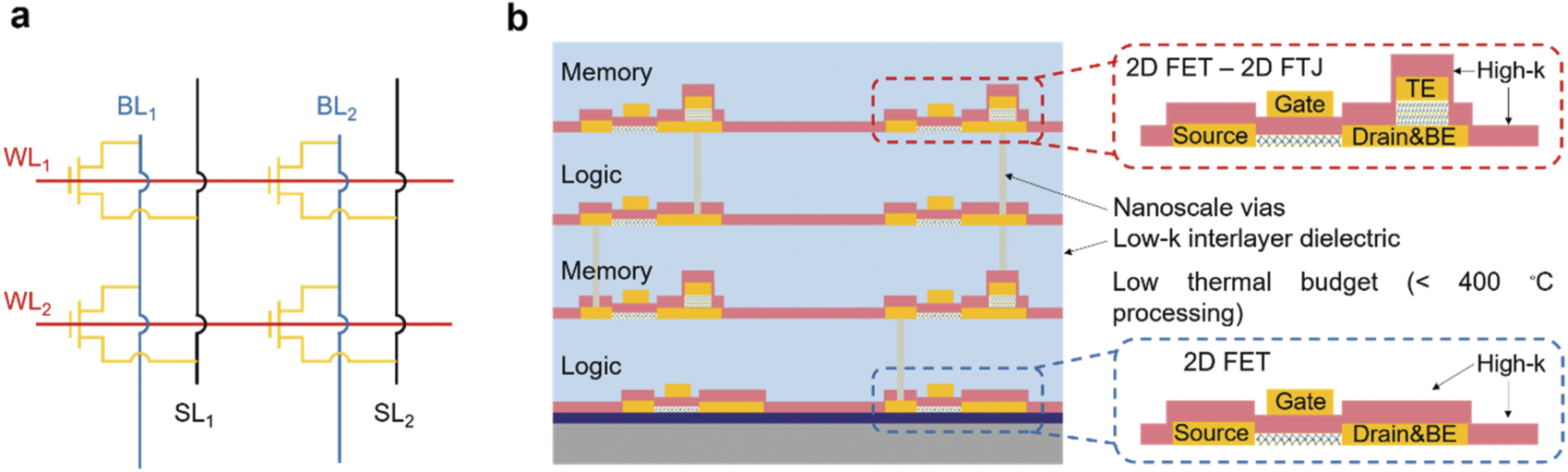 Ferroelectric memory based on two-dimensional materials for ...