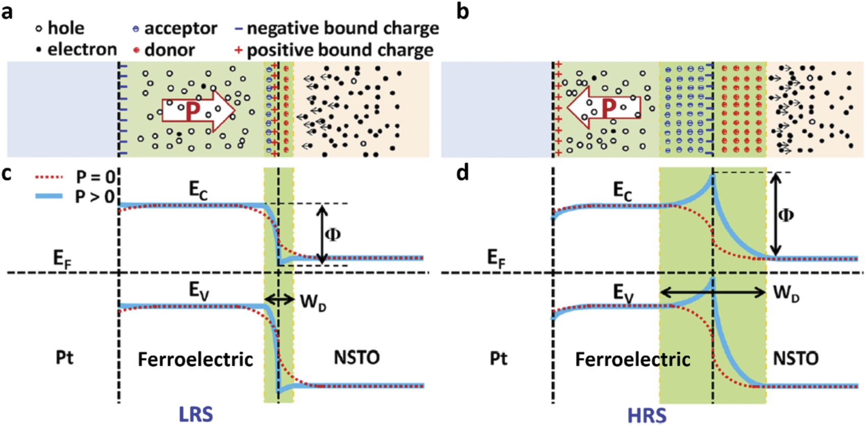 Ferroelectric memory based on two-dimensional materials for ...