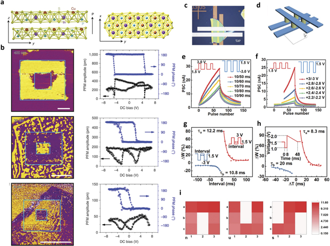 Ferroelectric memory based on two-dimensional materials for ...