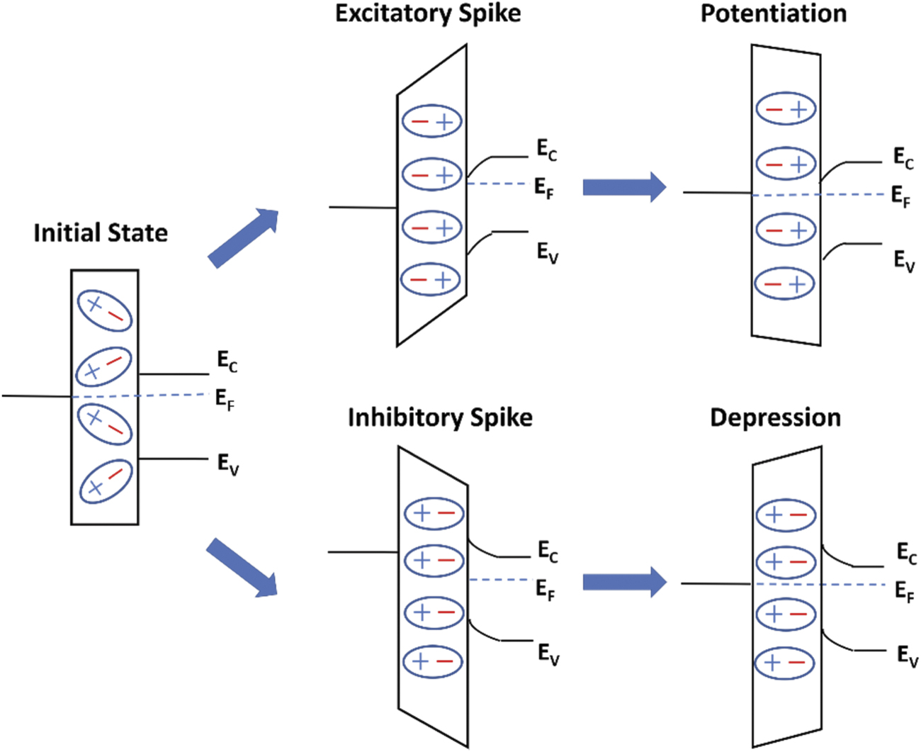 Ferroelectric memory based on two-dimensional materials for ...