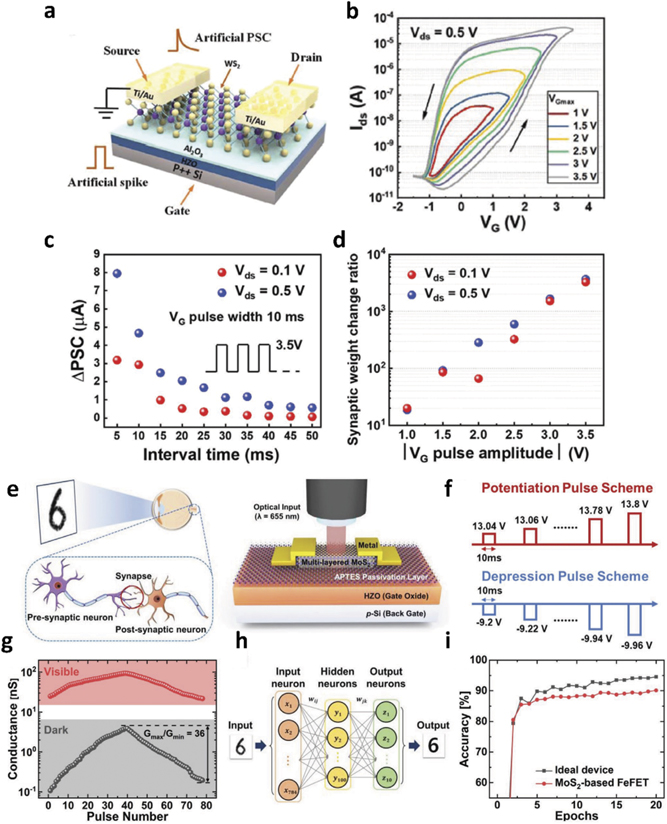 Ferroelectric memory based on two-dimensional materials for ...