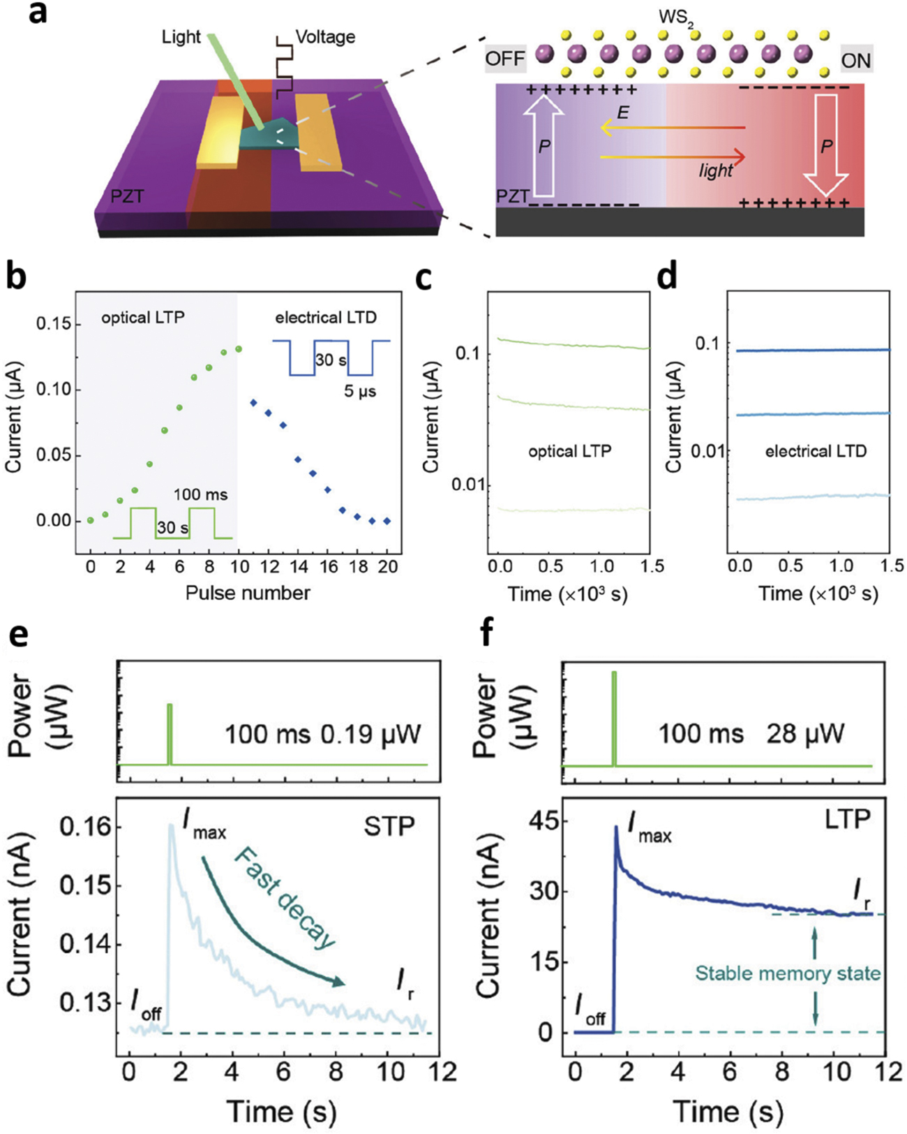 Ferroelectric memory based on two-dimensional materials for ...