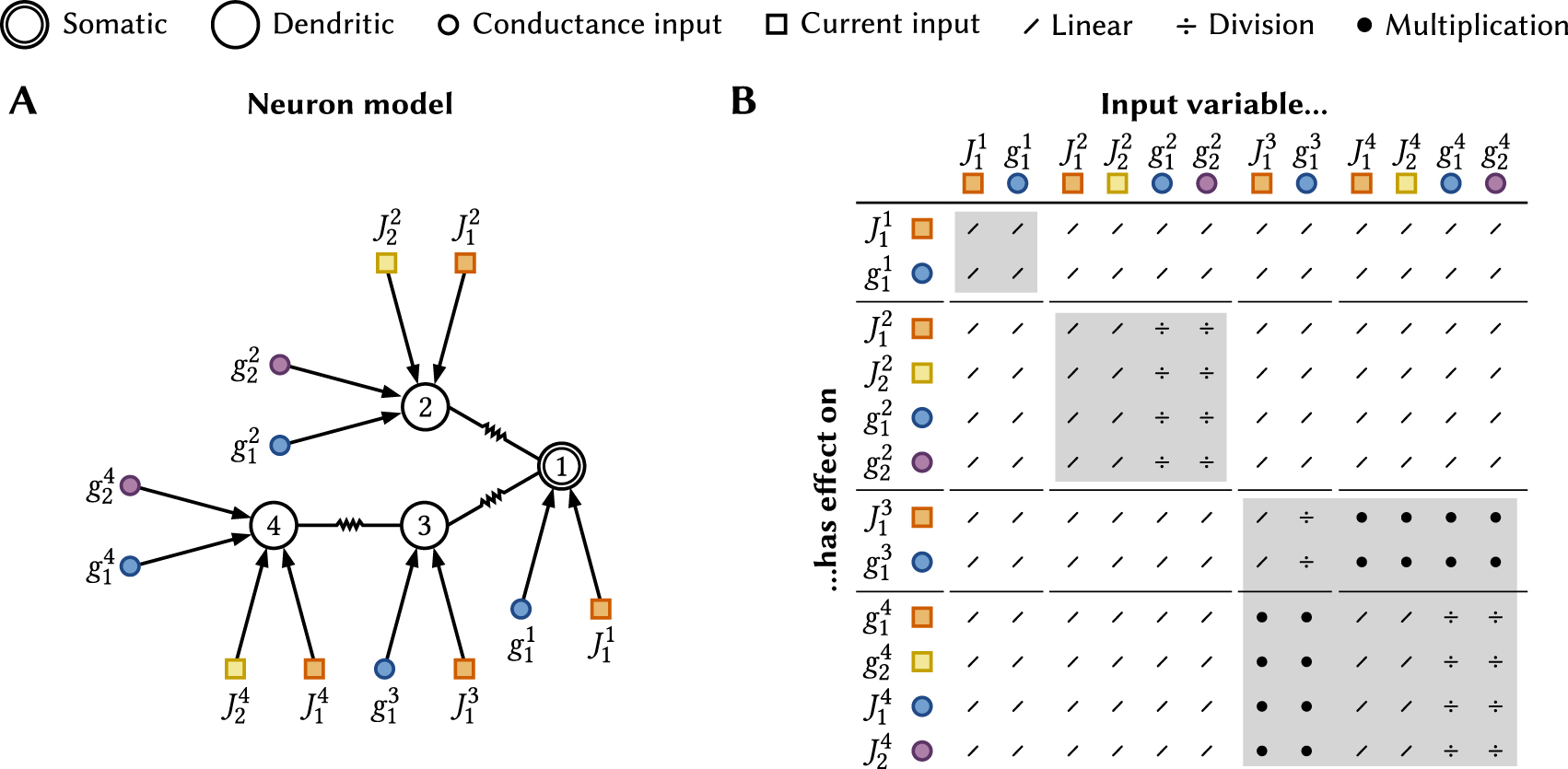 Computational properties of multi-compartment LIF neurons with passive ...