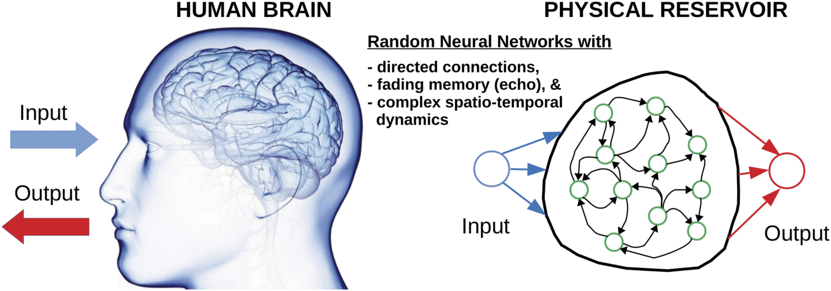 Hands-on reservoir computing: a tutorial for practical implementation ...