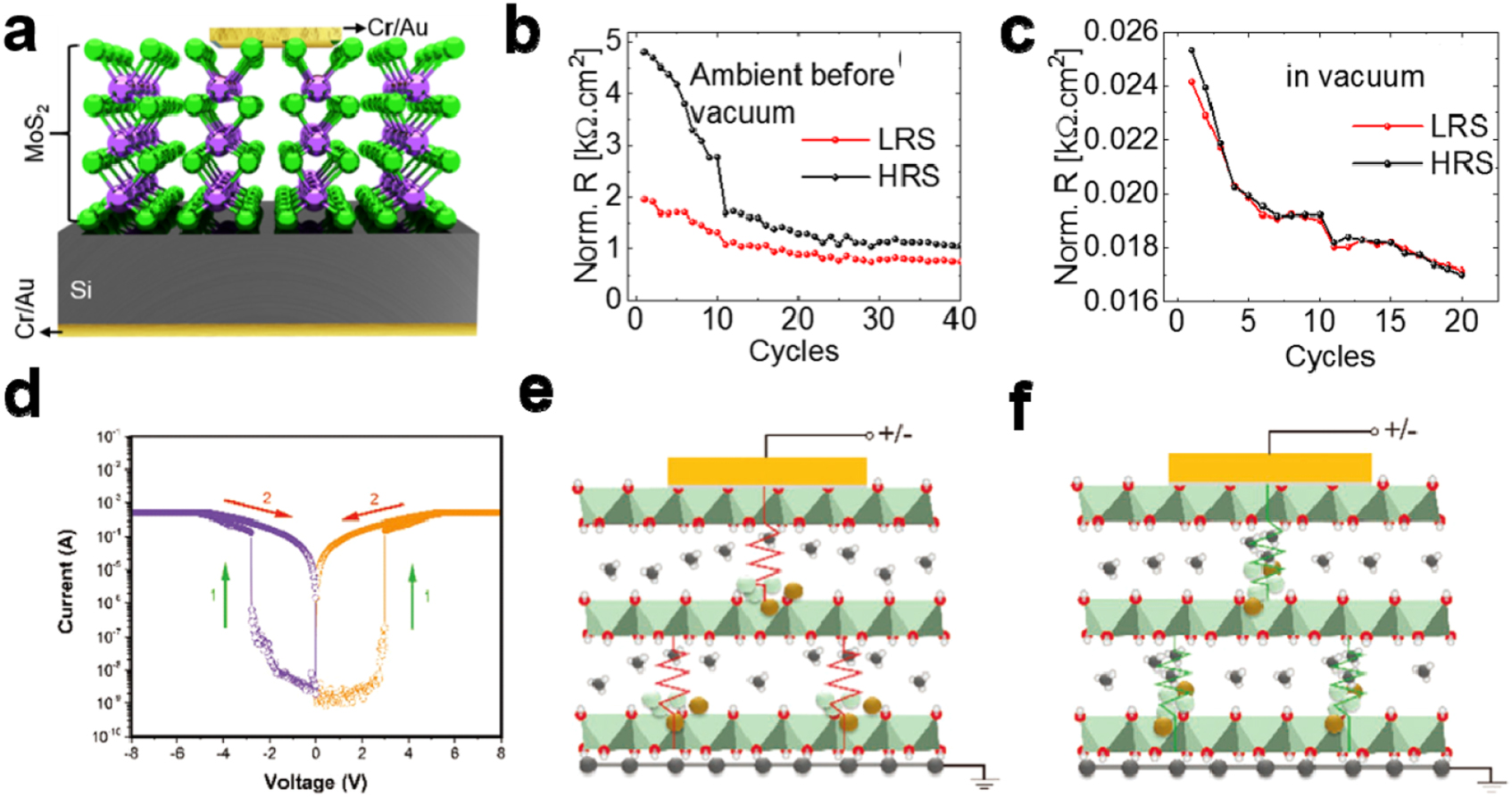 2D materials and van der Waals heterojunctions for neuromorphic ...