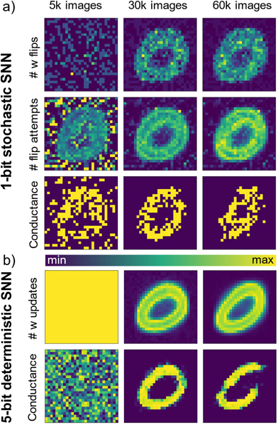 Advantages of binary stochastic synapses for hardware spiking neural networks with realistic ...