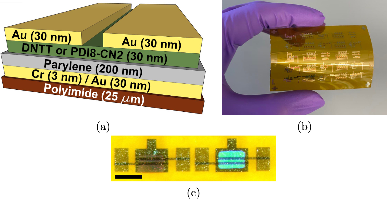 An organic synaptic circuit: toward flexible and biocompatible organic ...