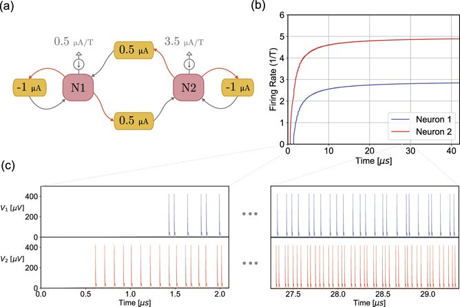 A superconducting nanowire-based architecture for neuromorphic computing - IOPscience