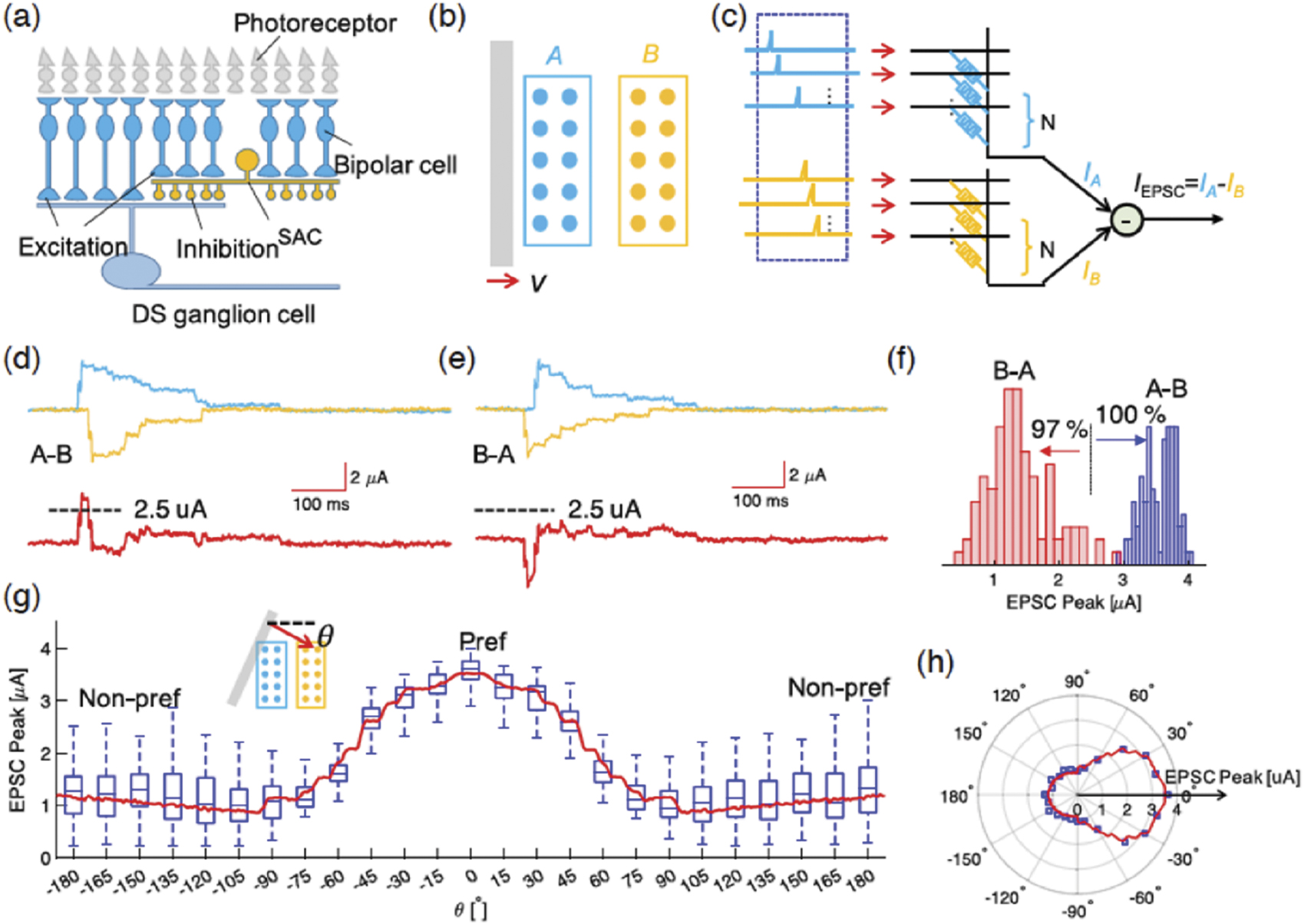 HfO2-based resistive switching memory devices for neuromorphic ...