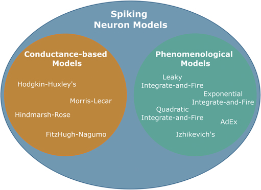 Simple and complex spiking neurons: perspectives and analysis in a ...