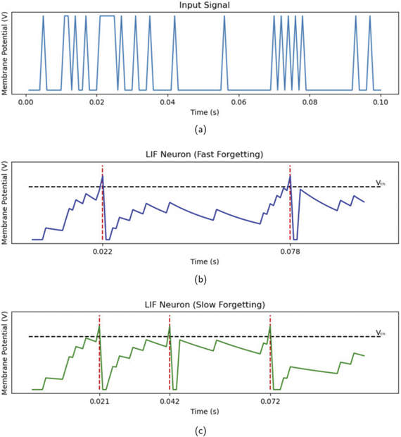 Simple and complex spiking neurons: perspectives and analysis in a simple STDP scenario - IOPscience
