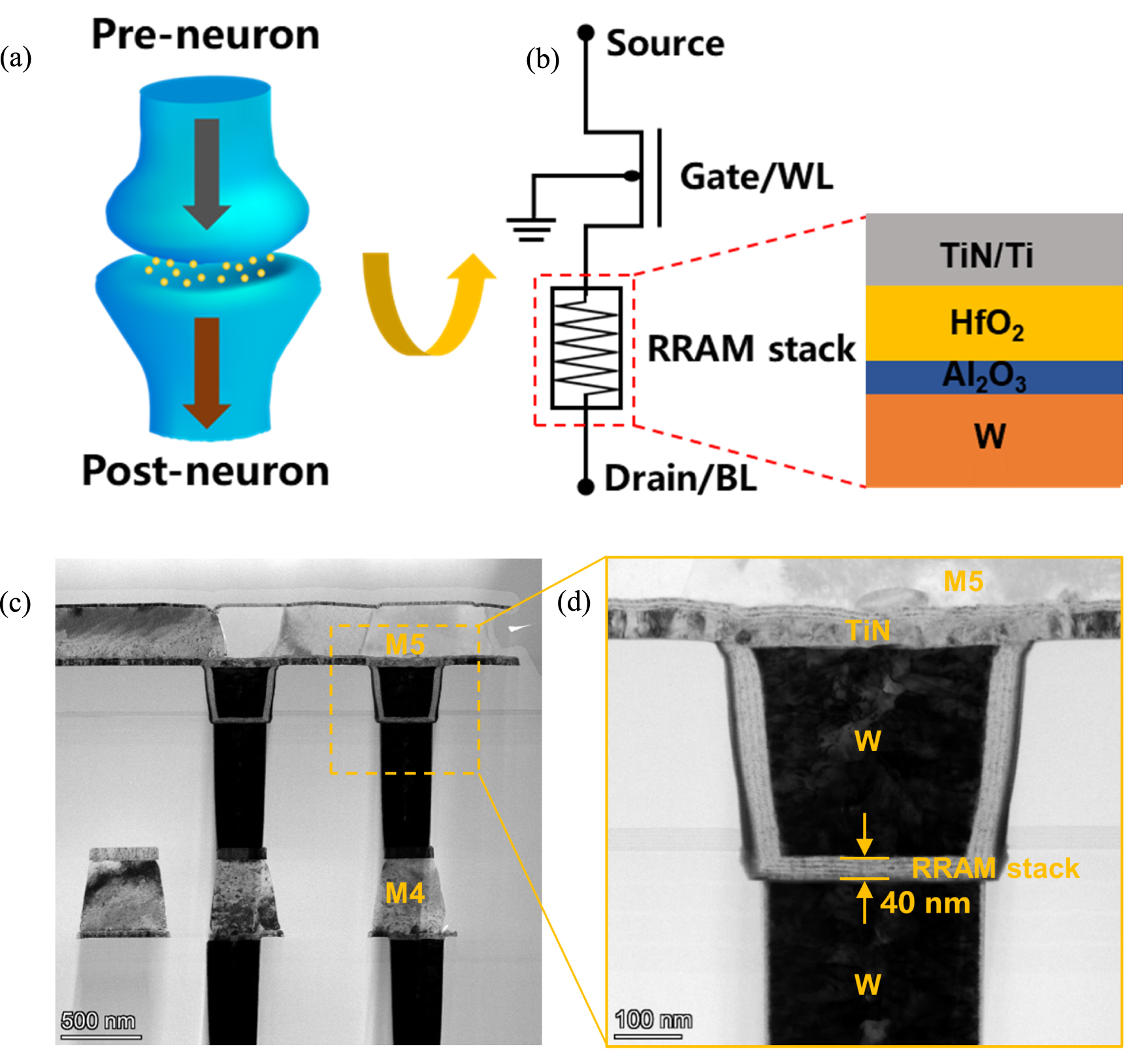 Ultrathin HfO2/Al2O3 bilayer based reliable 1T1R RRAM electronic synapses with low power ...
