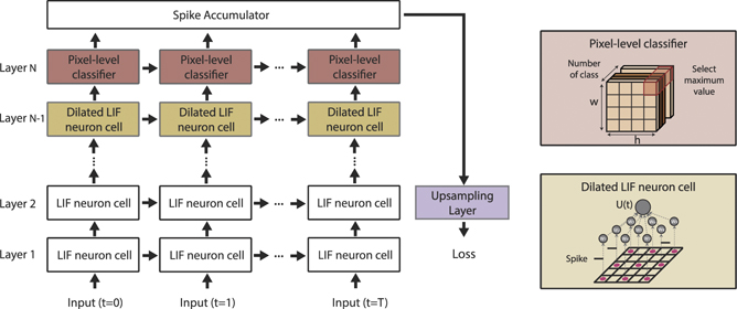 Beyond classification: directly training spiking neural networks for semantic segmentation ...