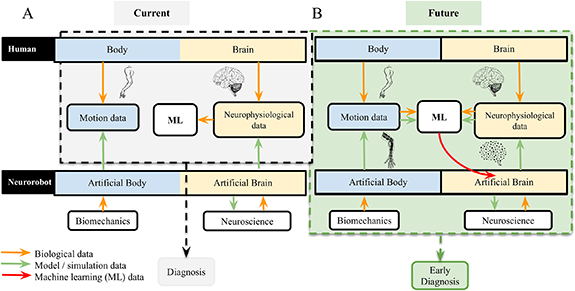 Perspective on investigation of neurodegenerative diseases with ...