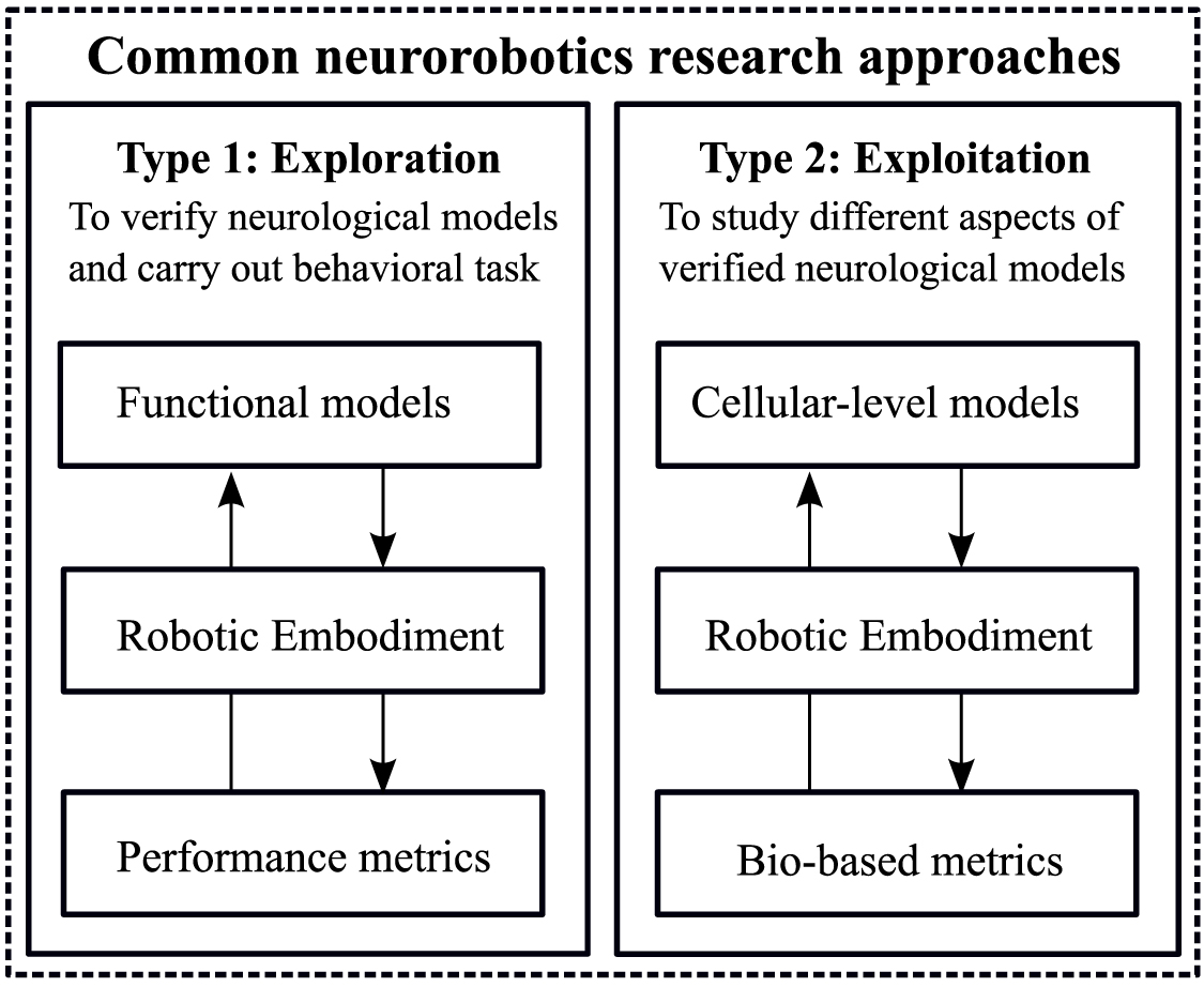 Perspective on investigation of neurodegenerative diseases with ...
