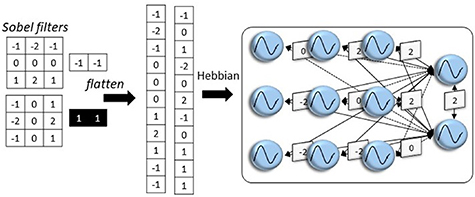 Simulation and implementation of two-layer oscillatory neural networks for image edge detection ...