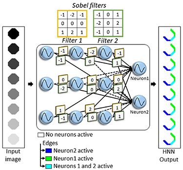 Simulation and implementation of two-layer oscillatory neural networks for image edge detection ...