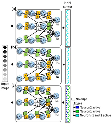 Simulation and implementation of two-layer oscillatory neural networks for image edge detection ...