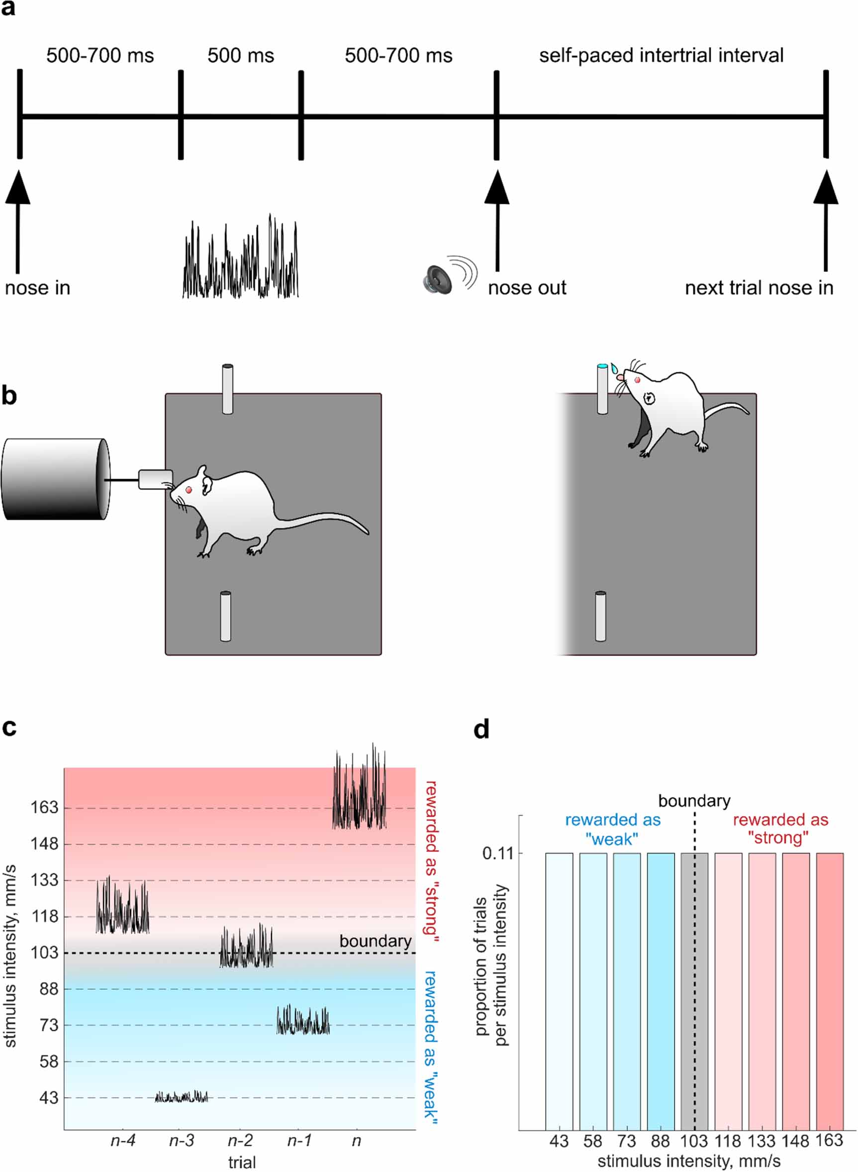 Dynamics of the judgment of tactile stimulus intensity - IOPscience
