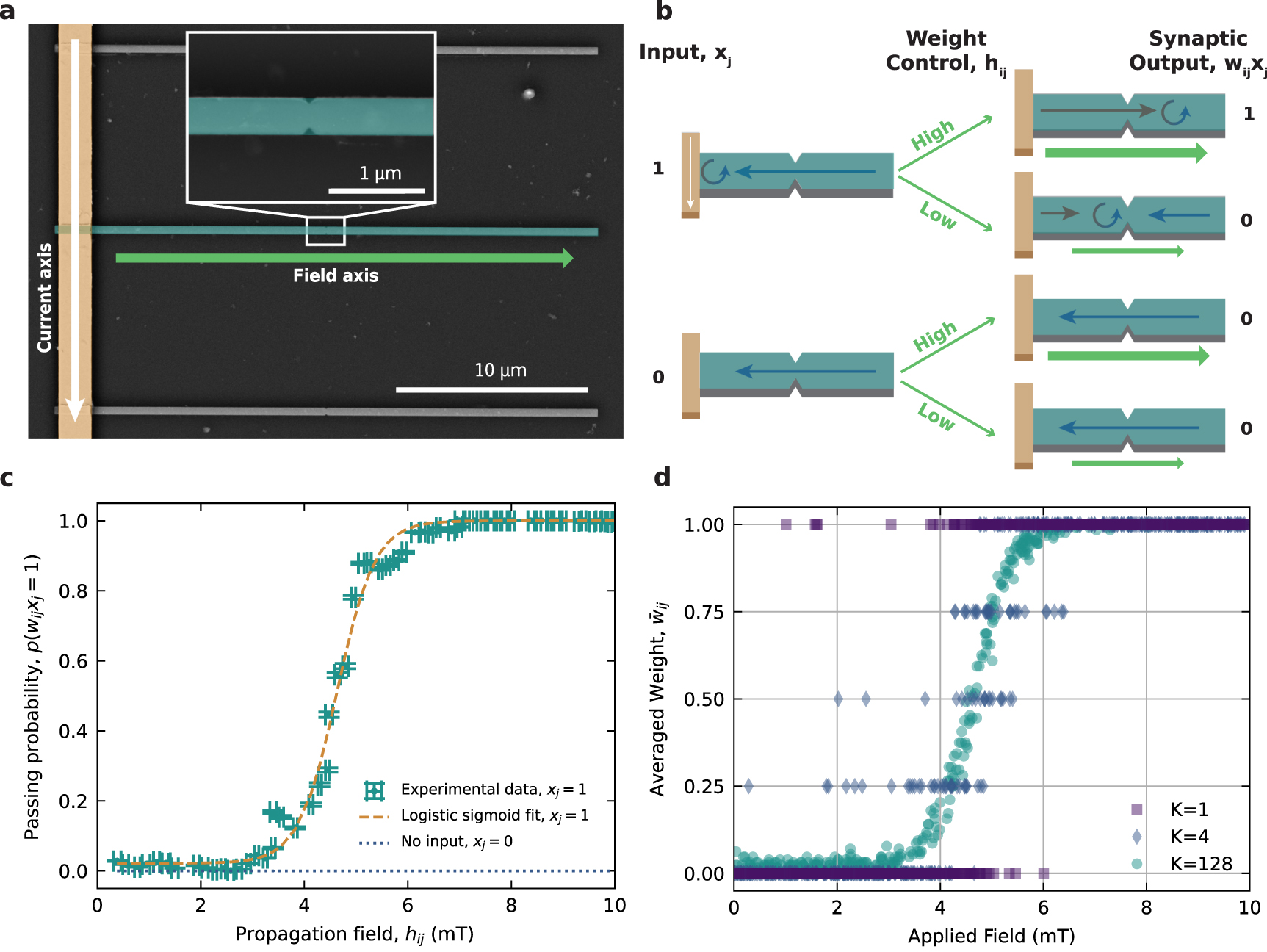 Machine learning using magnetic stochastic synapses - IOPscience