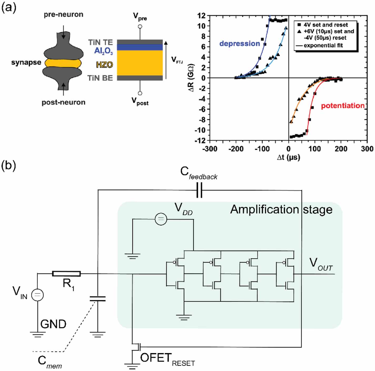 From neuromorphic to neurohybrid: transition from the emulation to the ...