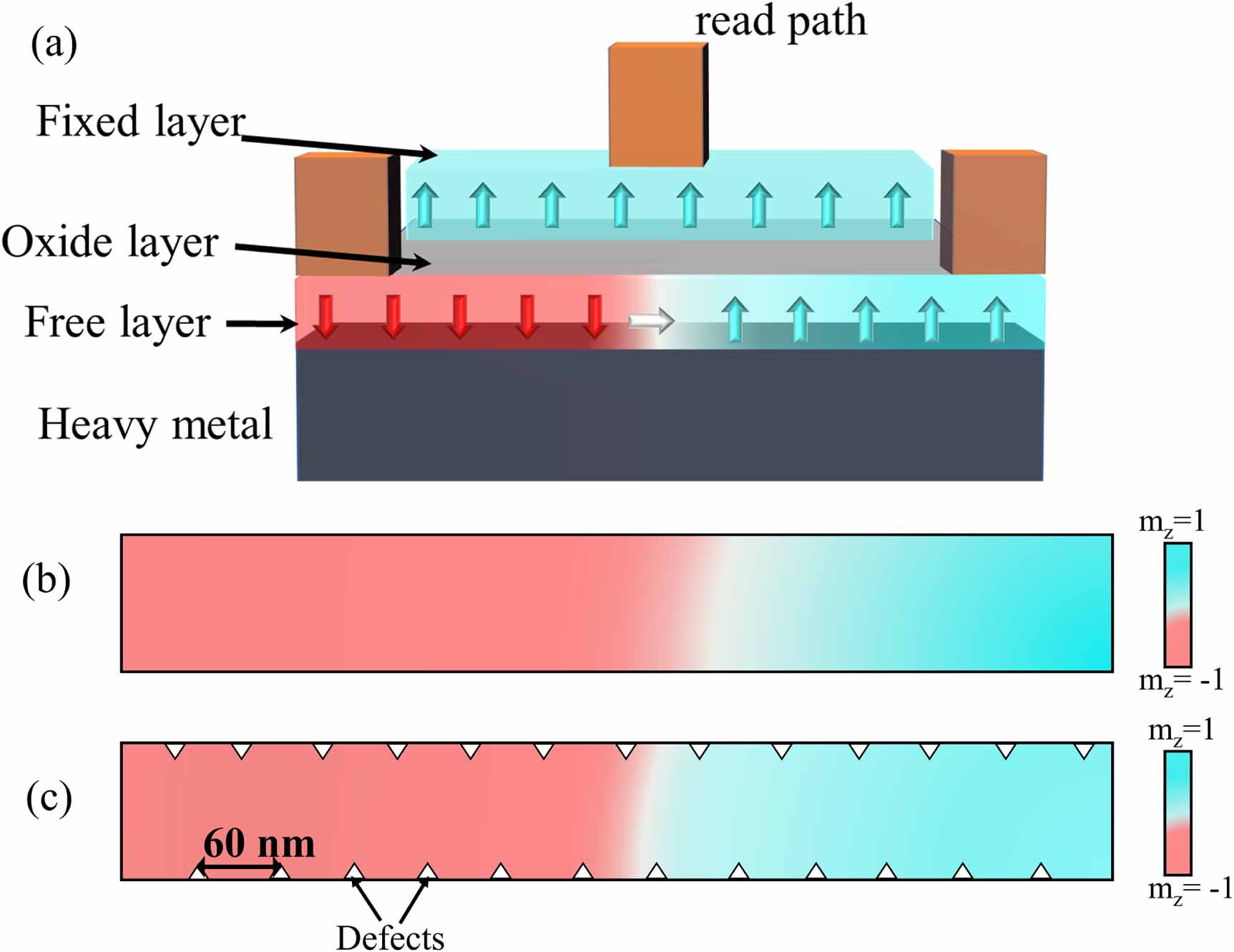 Impact of edge defects on the synaptic characteristic of a ...