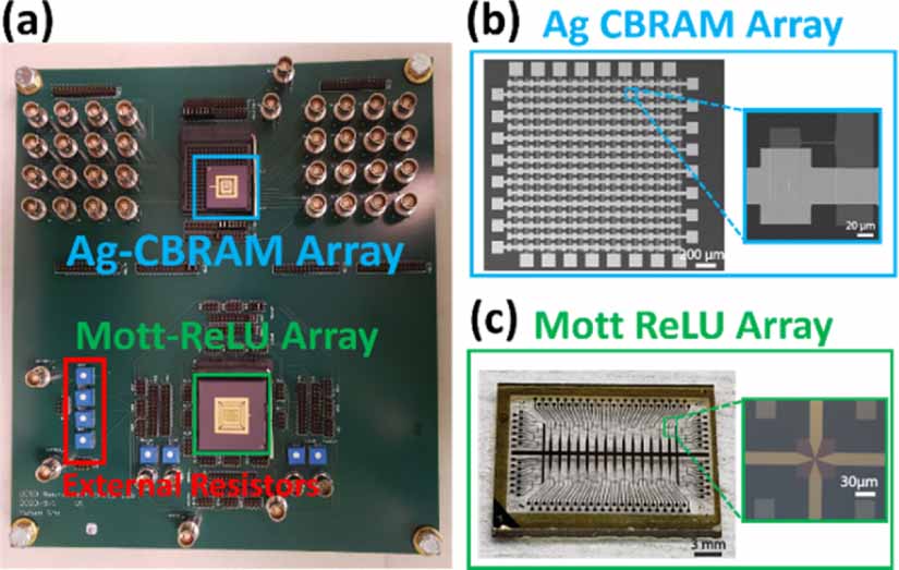 Integration of Ag-CBRAM crossbars and Mott ReLU neurons for efficient ...