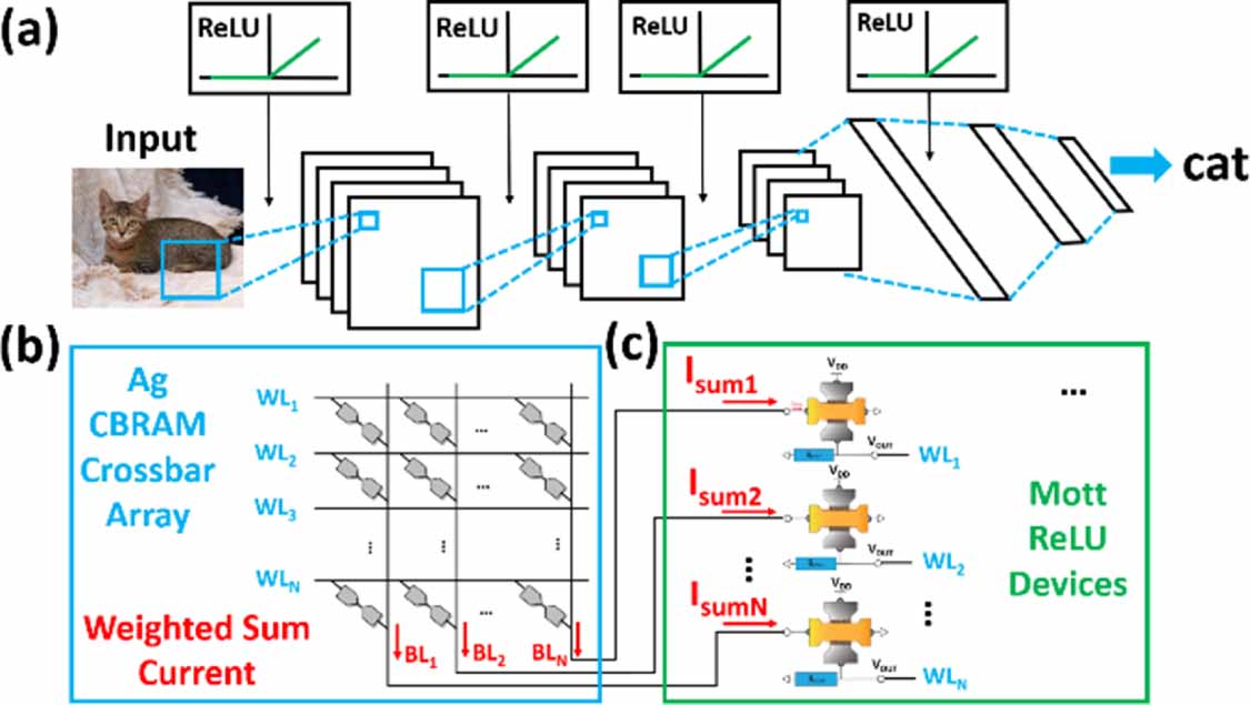 Integration of Ag-CBRAM crossbars and Mott ReLU neurons for efficient implementation of deep ...