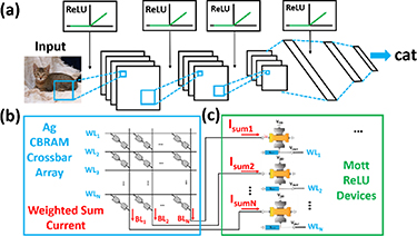 Integration of Ag-CBRAM crossbars and Mott ReLU neurons for efficient ...