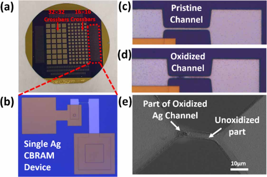 Integration of Ag-CBRAM crossbars and Mott ReLU neurons for efficient ...