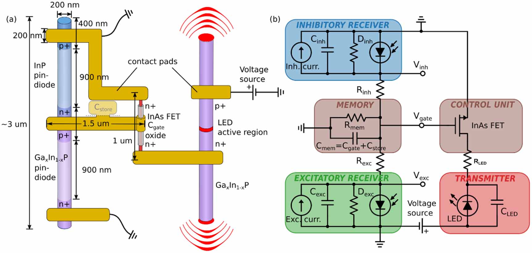 Artificial nanophotonic neuron with internal memory for biologically ...