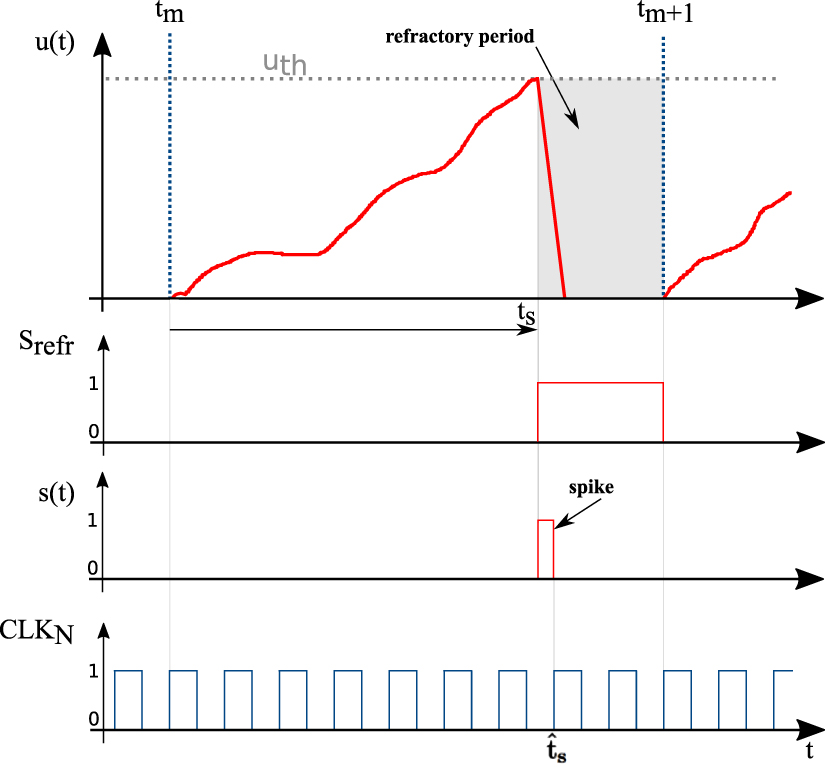 Integrate-and-fire circuit for converting analog signals to spikes ...