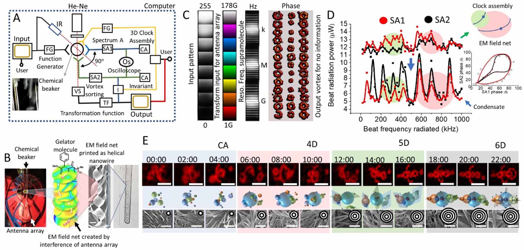 A general-purpose organic gel computer that learns by itself - IOPscience