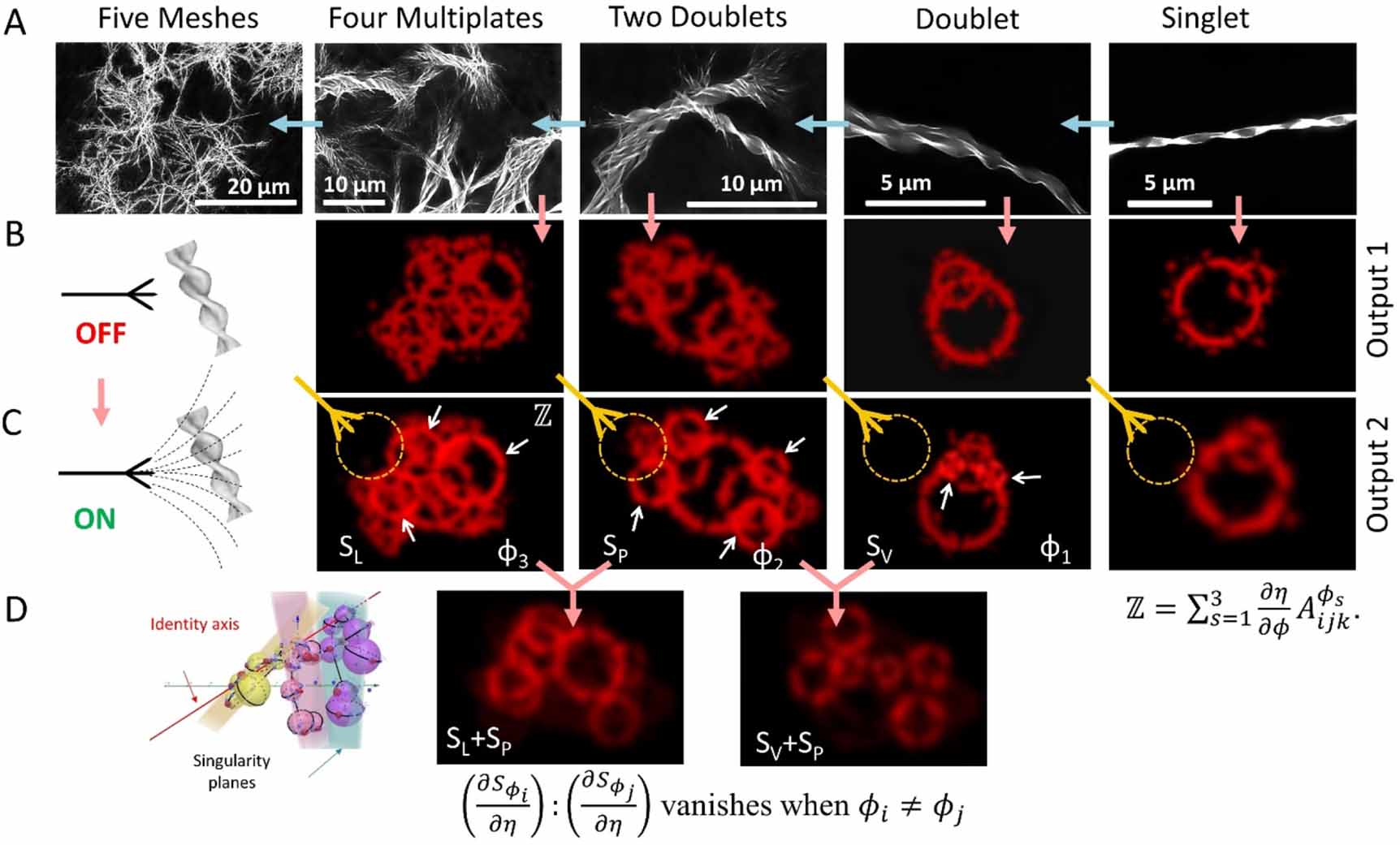 A general-purpose organic gel computer that learns by itself - IOPscience