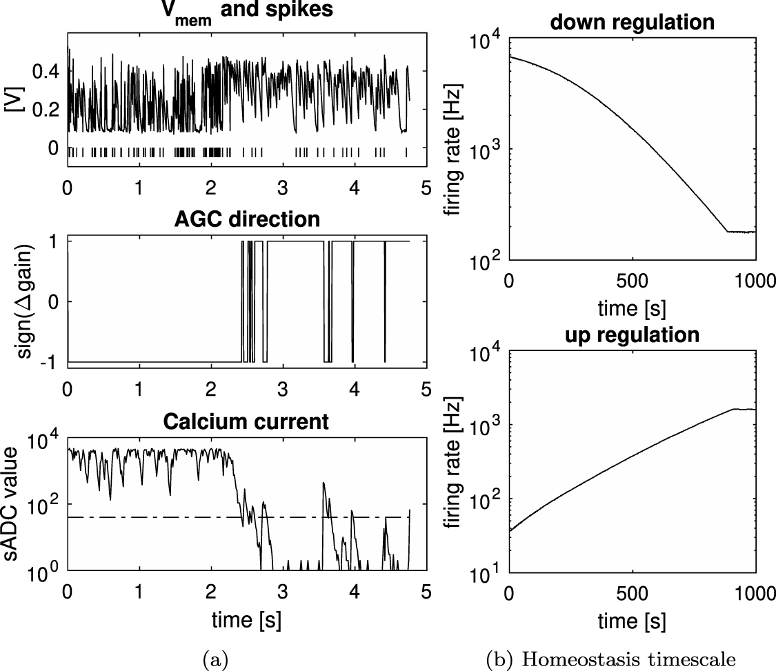 DYNAP-SE2: a scalable multi-core dynamic neuromorphic asynchronous ...