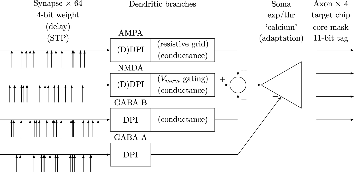 DYNAP-SE2: a scalable multi-core dynamic neuromorphic asynchronous spiking neural network ...