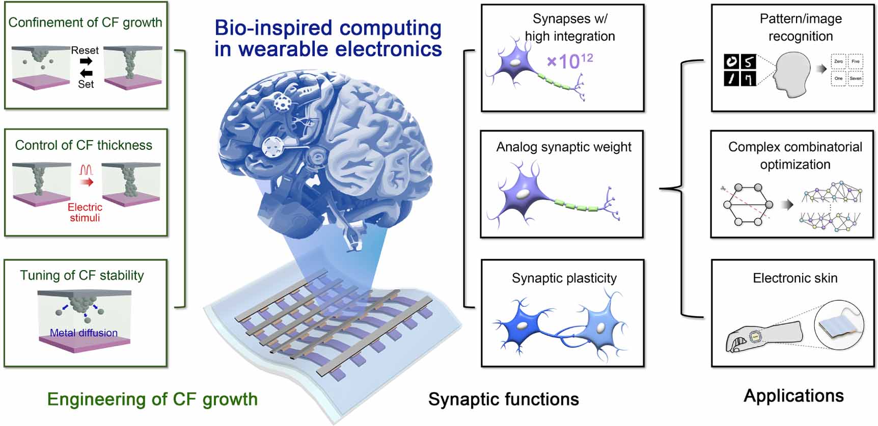 Filamentary-based organic memristors for wearable neuromorphic computing systems - IOPscience