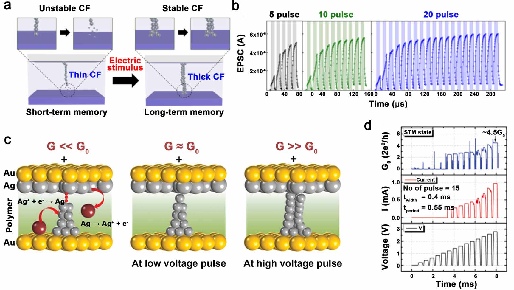 Filamentary-based organic memristors for wearable neuromorphic ...