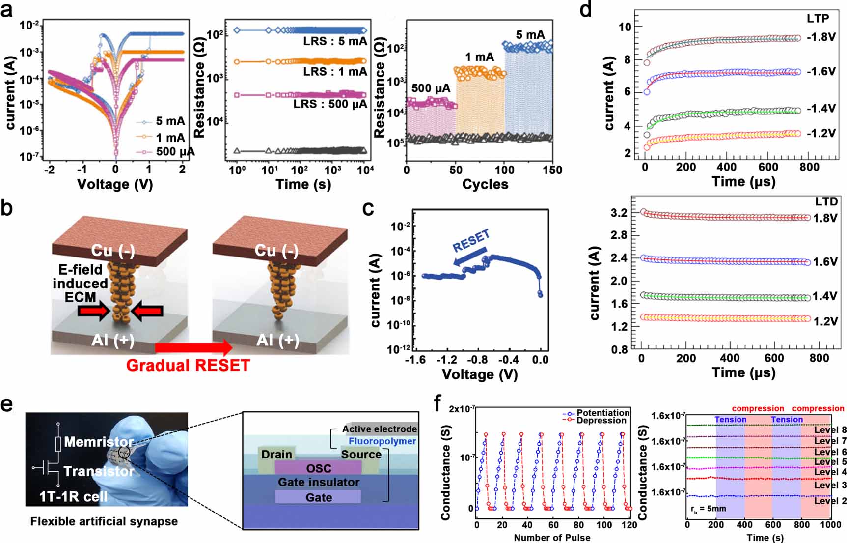 Filamentary-based organic memristors for wearable neuromorphic ...