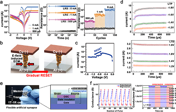 Filamentary-based organic memristors for wearable neuromorphic ...