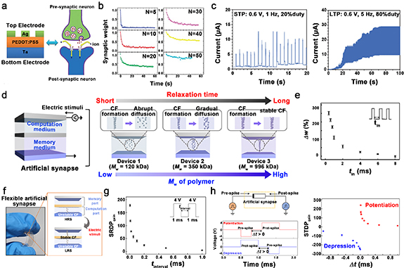 Filamentary-based organic memristors for wearable neuromorphic ...