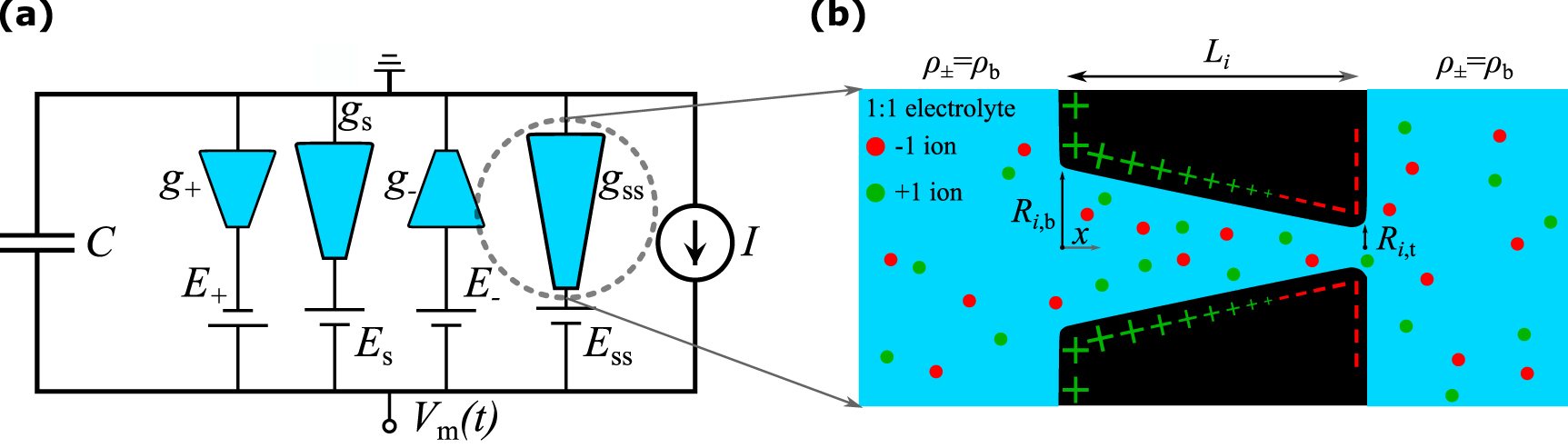 Advanced iontronic spiking modes with multiscale diffusive dynamics in a fluidic circuit ...