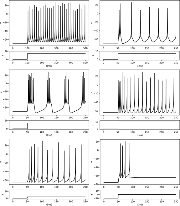 Bio-realistic neural network implementation on Loihi 2 with Izhikevich ...