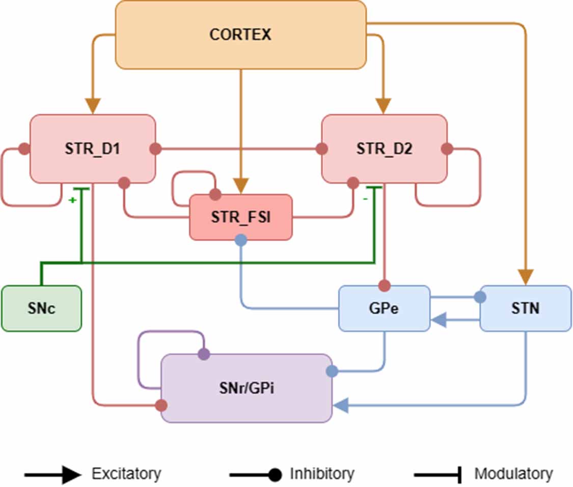 Bio-realistic neural network implementation on Loihi 2 with Izhikevich ...